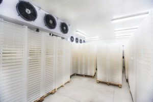 Cold Rooms: All You Need To Know